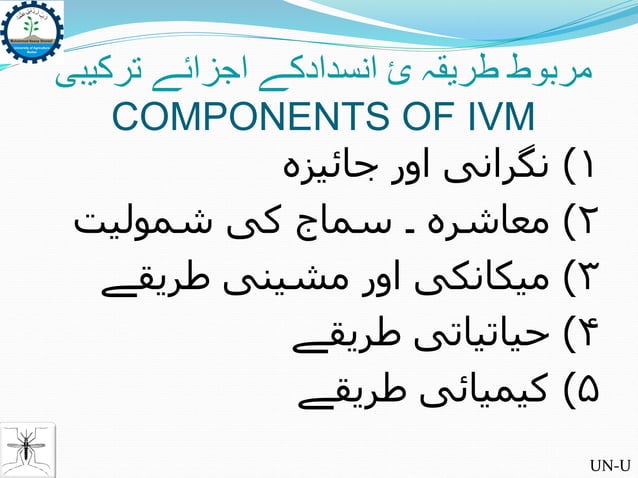 Dengue urdu unsar naeem ullah 16102019 | PDF