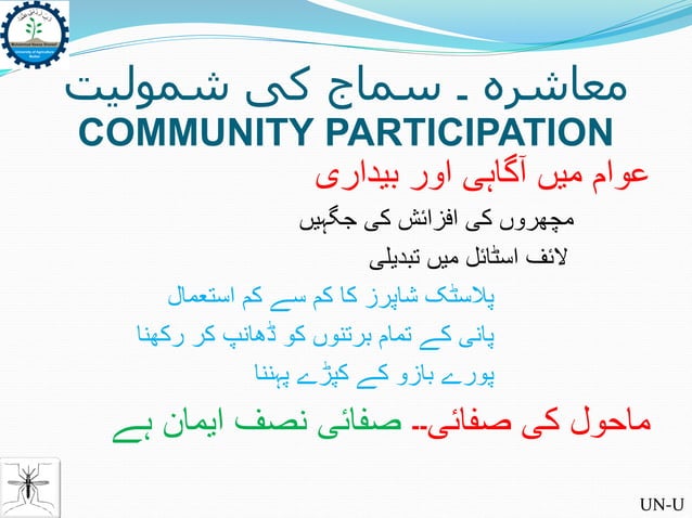 Dengue urdu unsar naeem ullah 16102019 | PDF