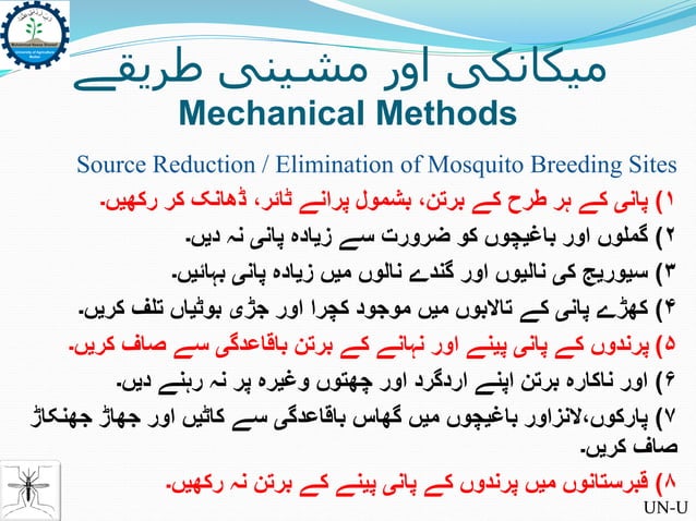 Dengue urdu unsar naeem ullah 16102019 | PDF