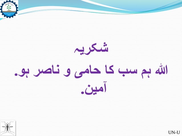 Dengue urdu unsar naeem ullah 16102019 | PDF