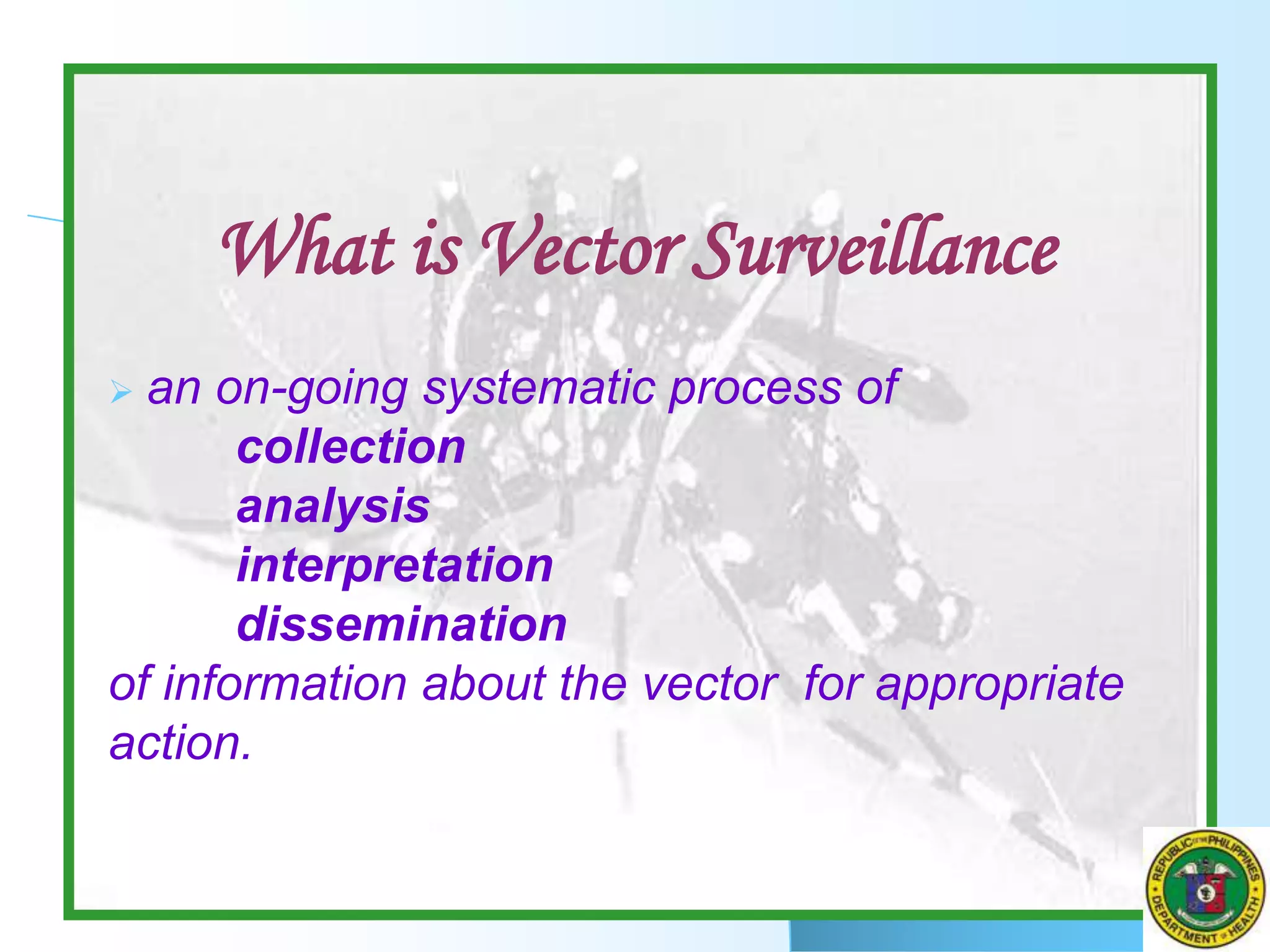 Dengue vector surveillance final | PPT