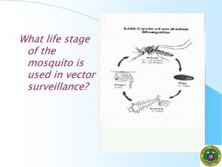 Dengue vector surveillance final | PPT