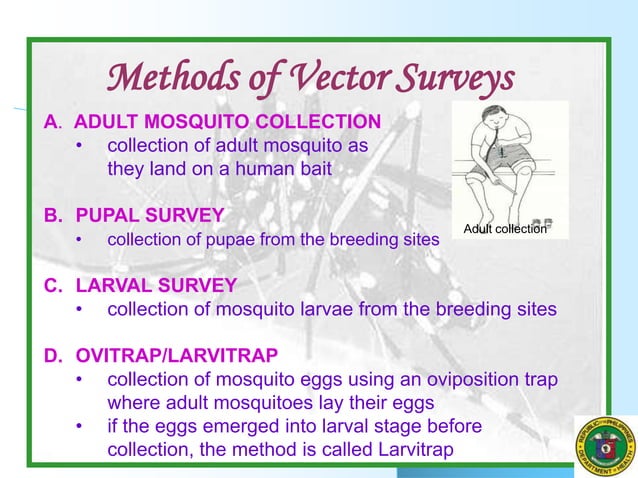 Dengue vector surveillance final | PPT | Science