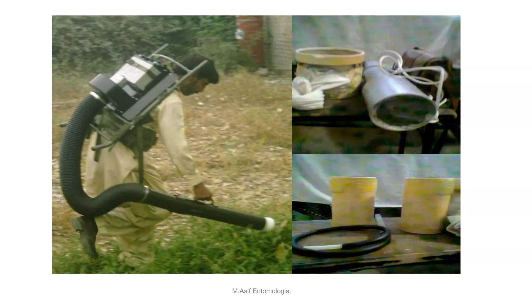 Dengue Vector surveillance Pakistan.pptx