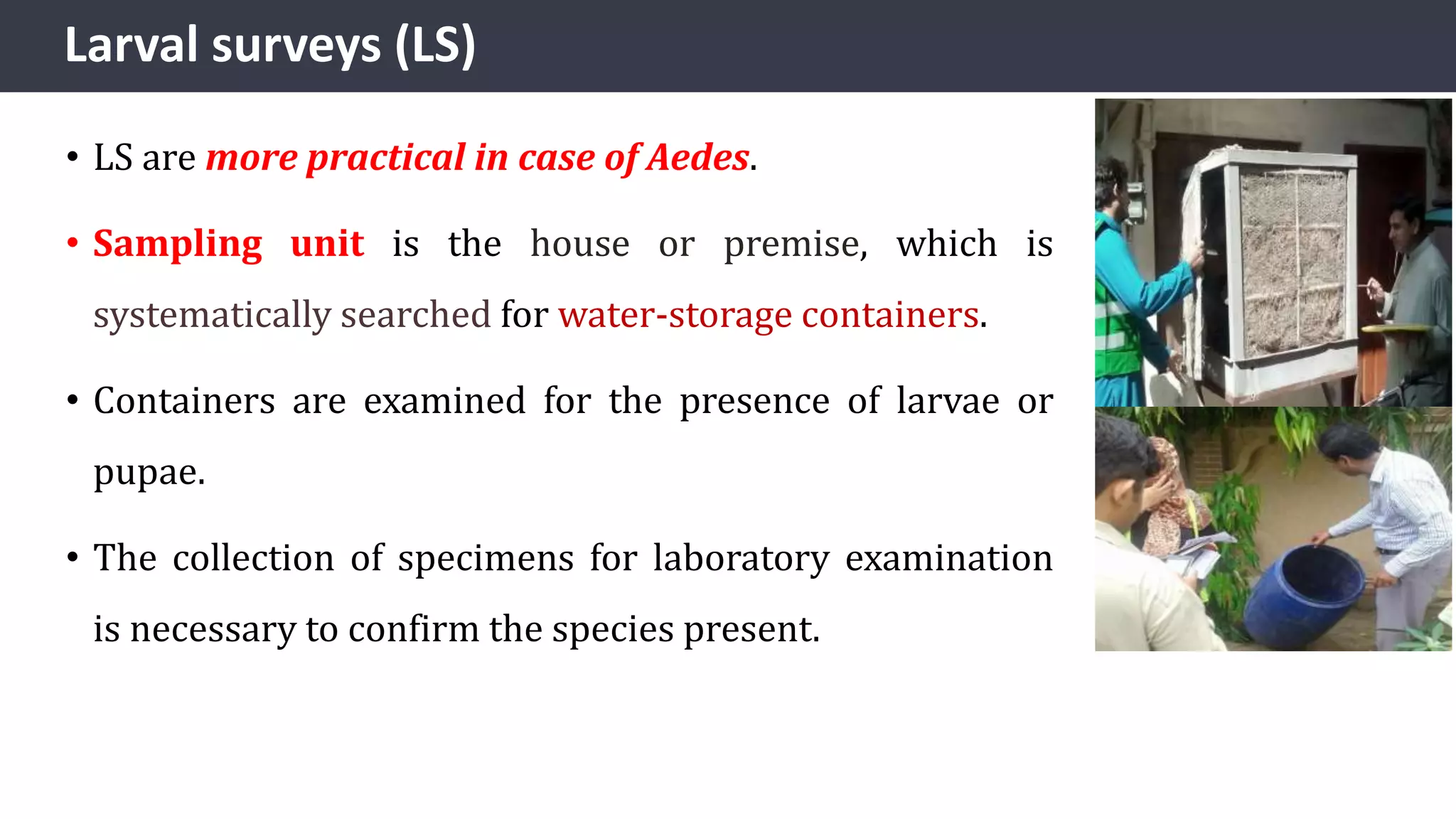 Dengue Vector surveillance Pakistan.pptx