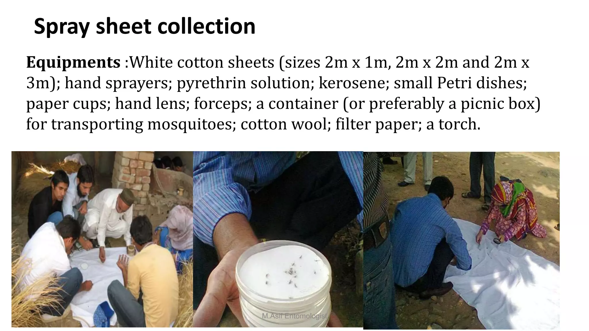 Dengue Vector surveillance Pakistan.pptx