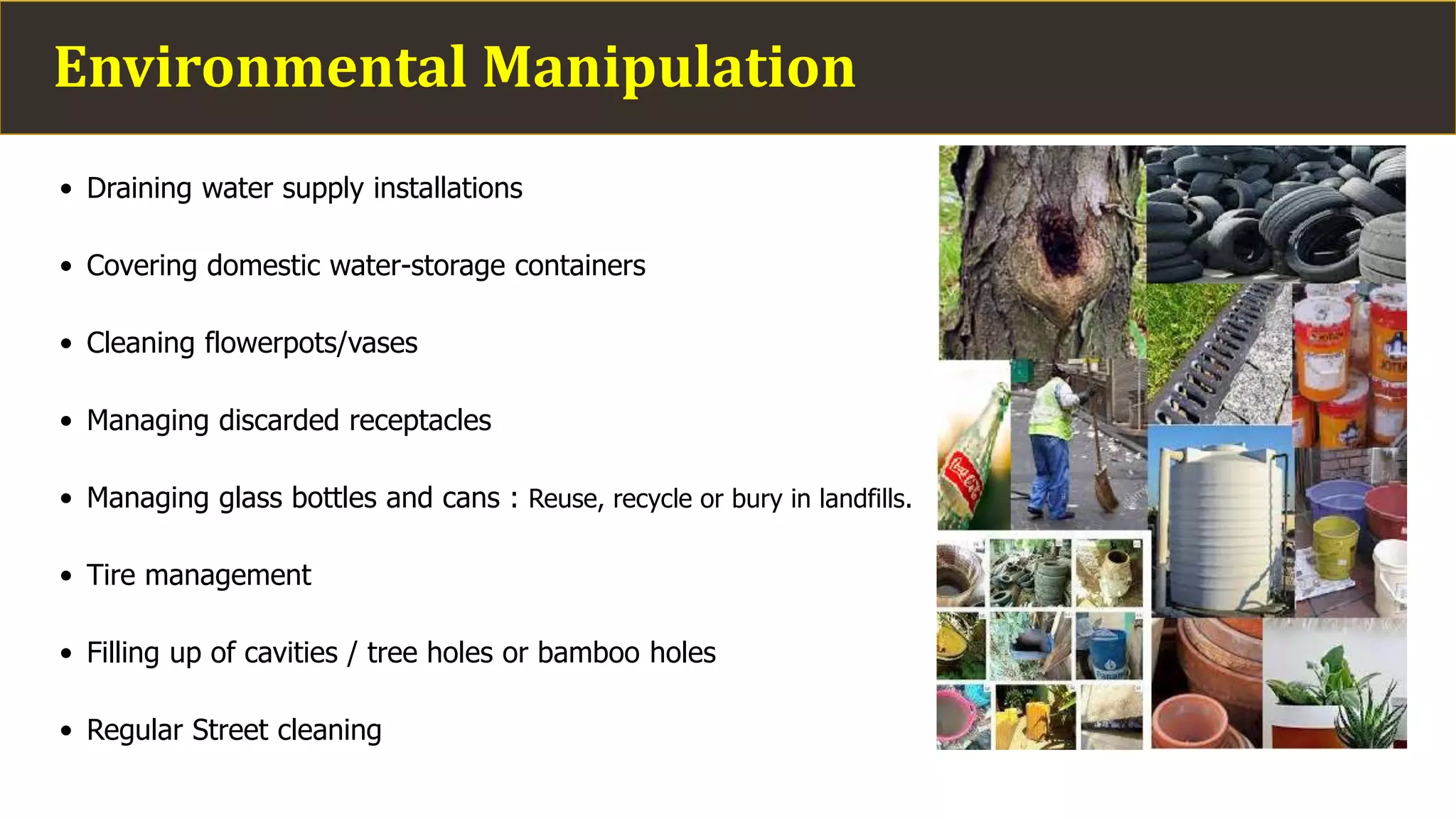 Dengue Vector surveillance Pakistan.pptx