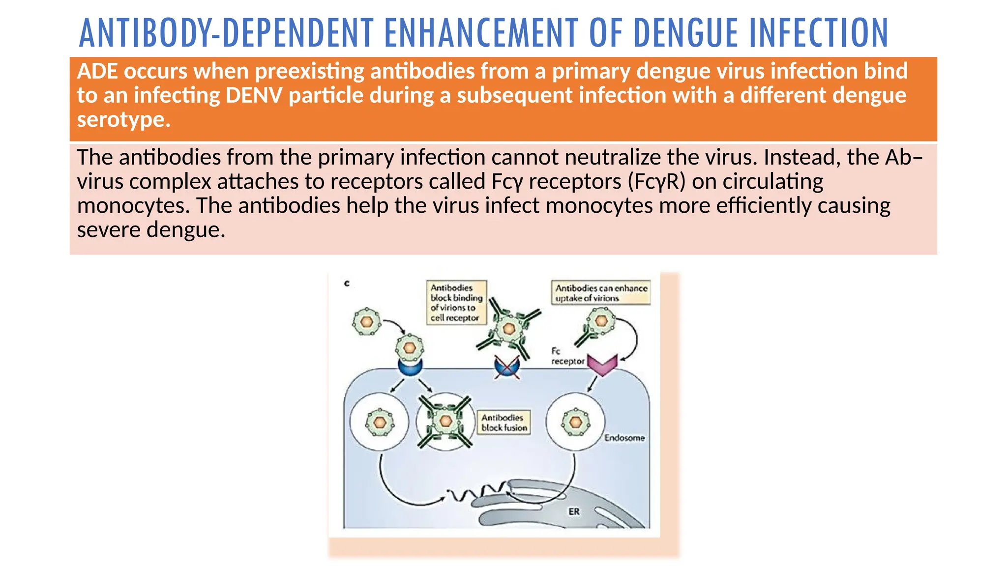 DENGUE fever management investigation treatment | PPTX