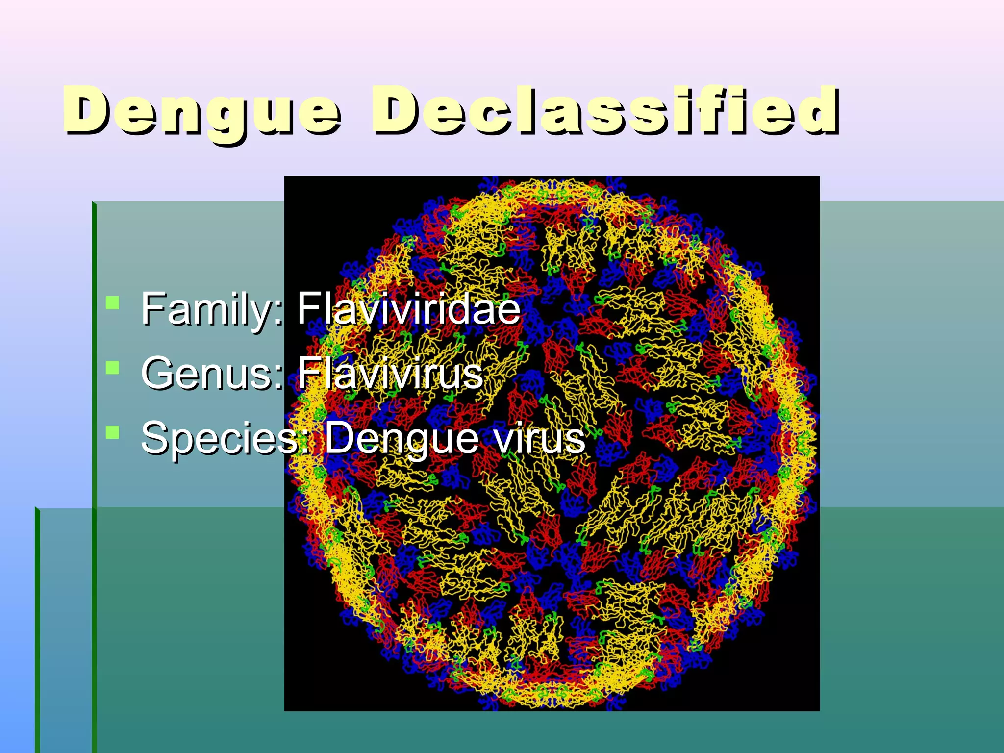 Dengue virus | PPT