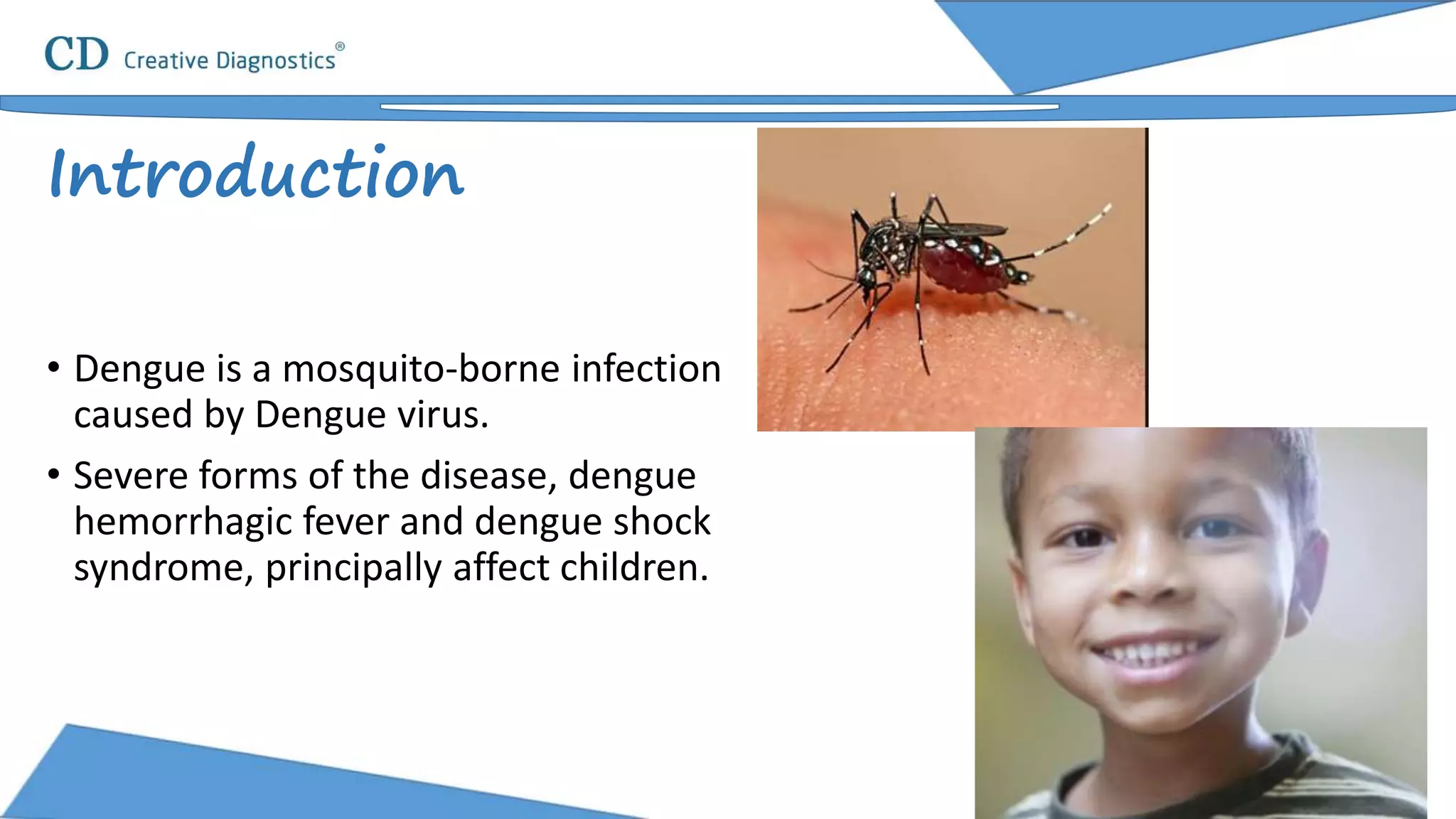 Dengue virus | PPTX | Infectious Diseases | Diseases and Conditions