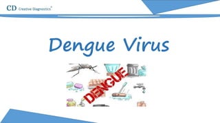Dengue virus | PPTX | Infectious Diseases | Diseases and Conditions