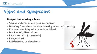 Dengue virus | PPTX | Infectious Diseases | Diseases and Conditions