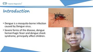 Dengue virus | PPT