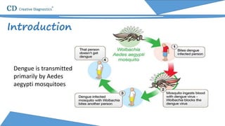 Dengue virus | PPT