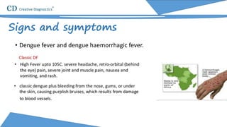 Dengue virus | PPT