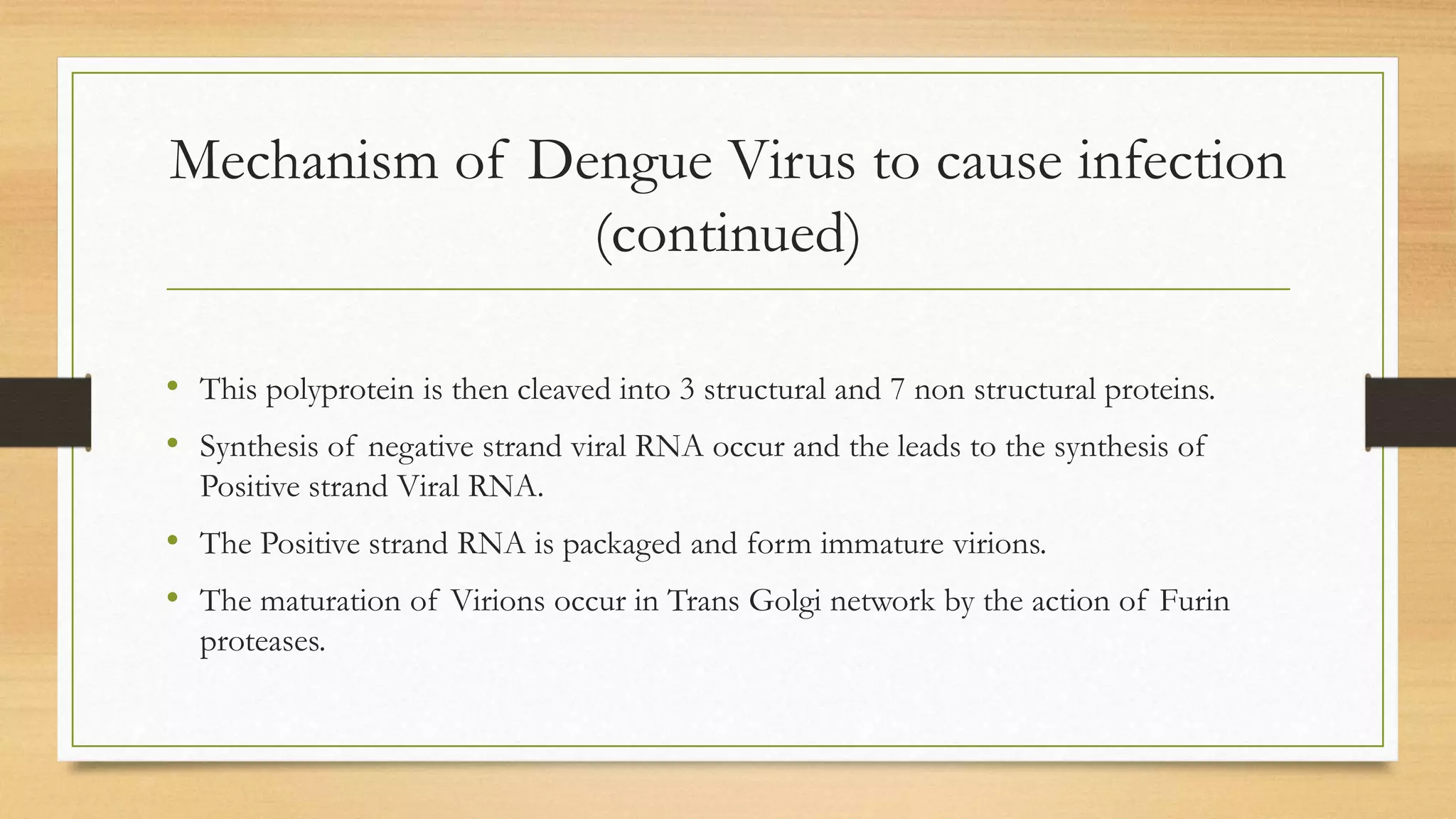 Dengue virus | PPTX | Infectious Diseases | Diseases and Conditions
