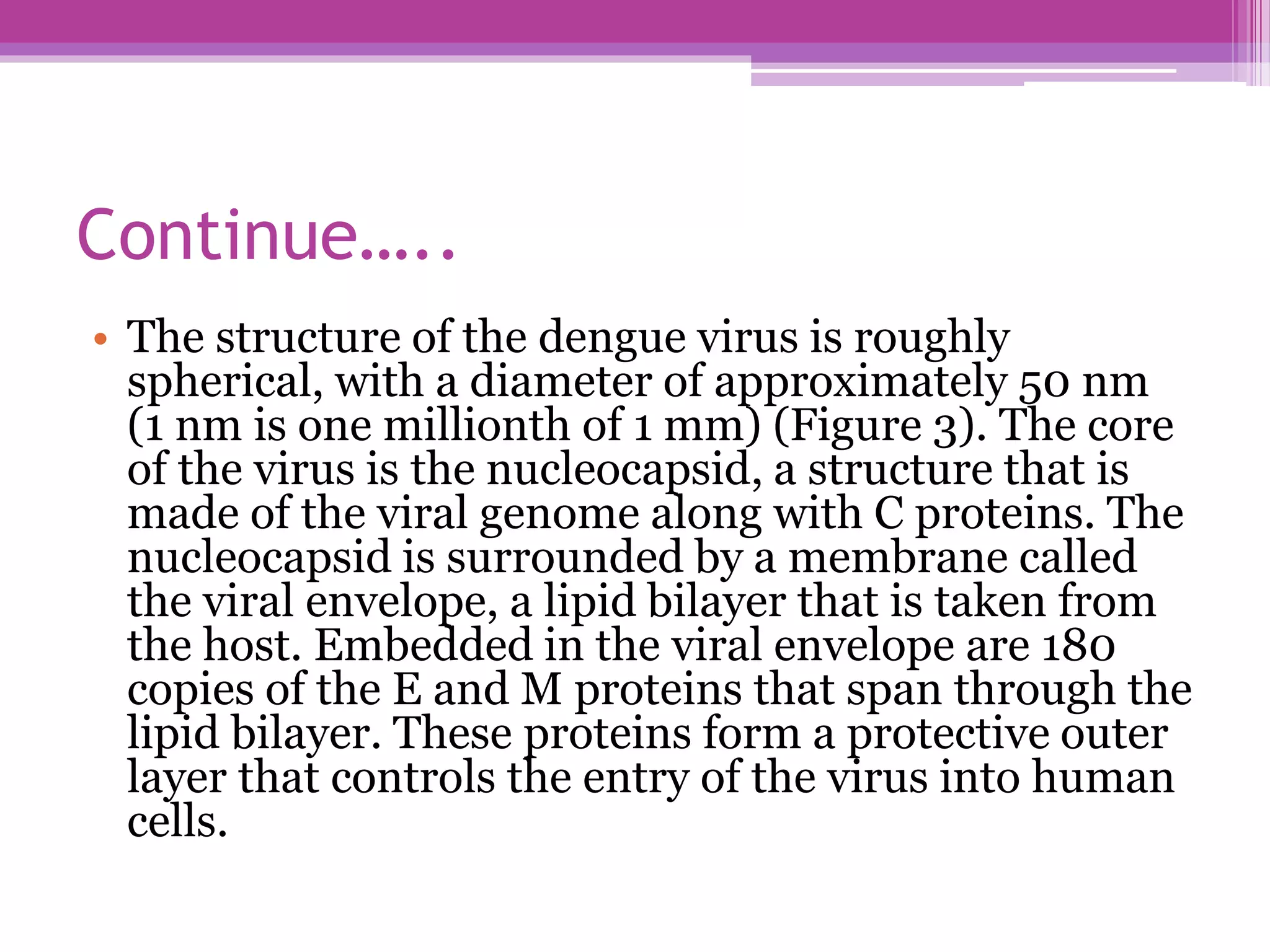 dengue virus.pptx