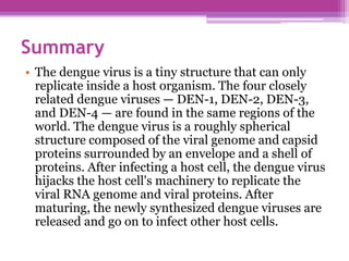 dengue virus.pptx