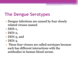 dengue virus.pptx | Genetics | Science