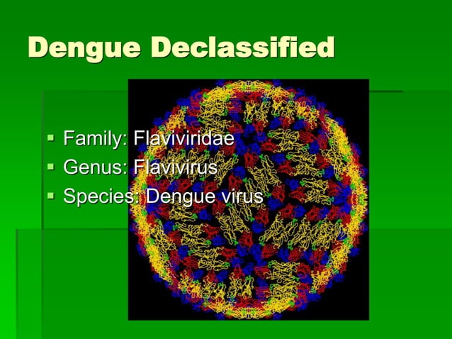 Dengue Virus.ppt
