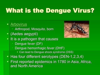 Dengue Virus.ppt