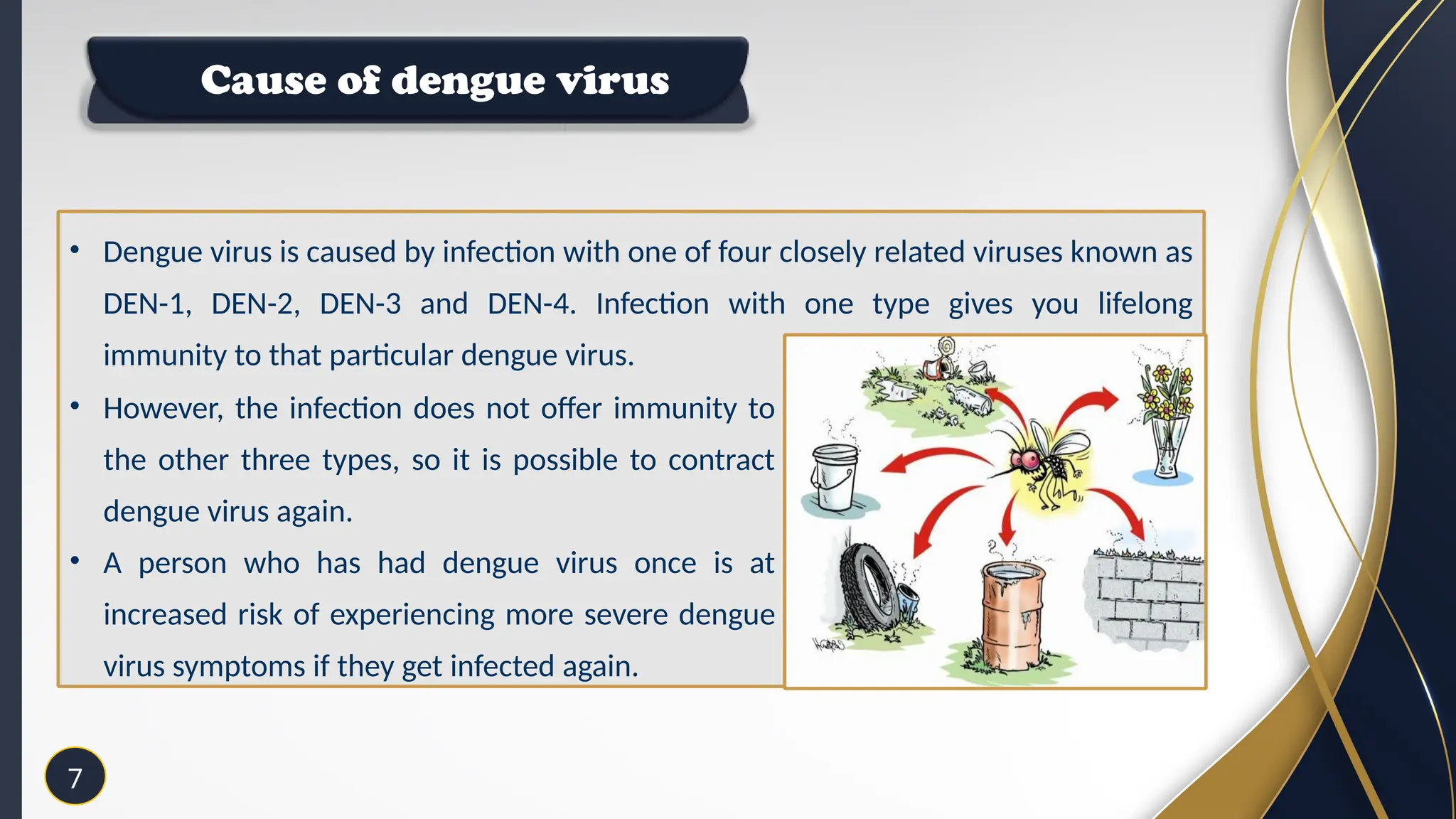Dengue Virus Overview About Disease.pptx