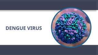 Dengue Virus Overview About Disease.pptx