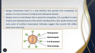 Dengue Virus Overview About Disease.pptx