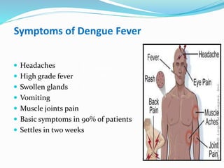 Dengue virus – a flavivirus | PPTX