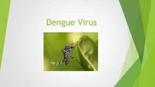 Introduction to Dengue virus | PPT