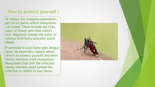 Introduction to Dengue virus | PPTX
