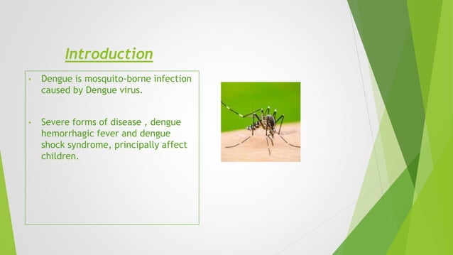 Introduction to Dengue virus | PPT