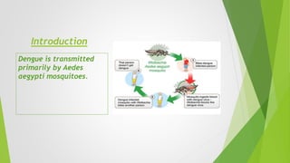 Introduction to Dengue virus | PPT