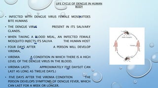 A presentation on Dengue Virus. | PPTX