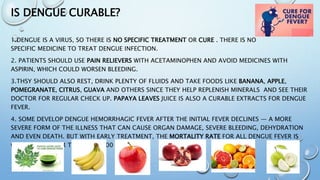 A presentation on Dengue Virus. | PPTX
