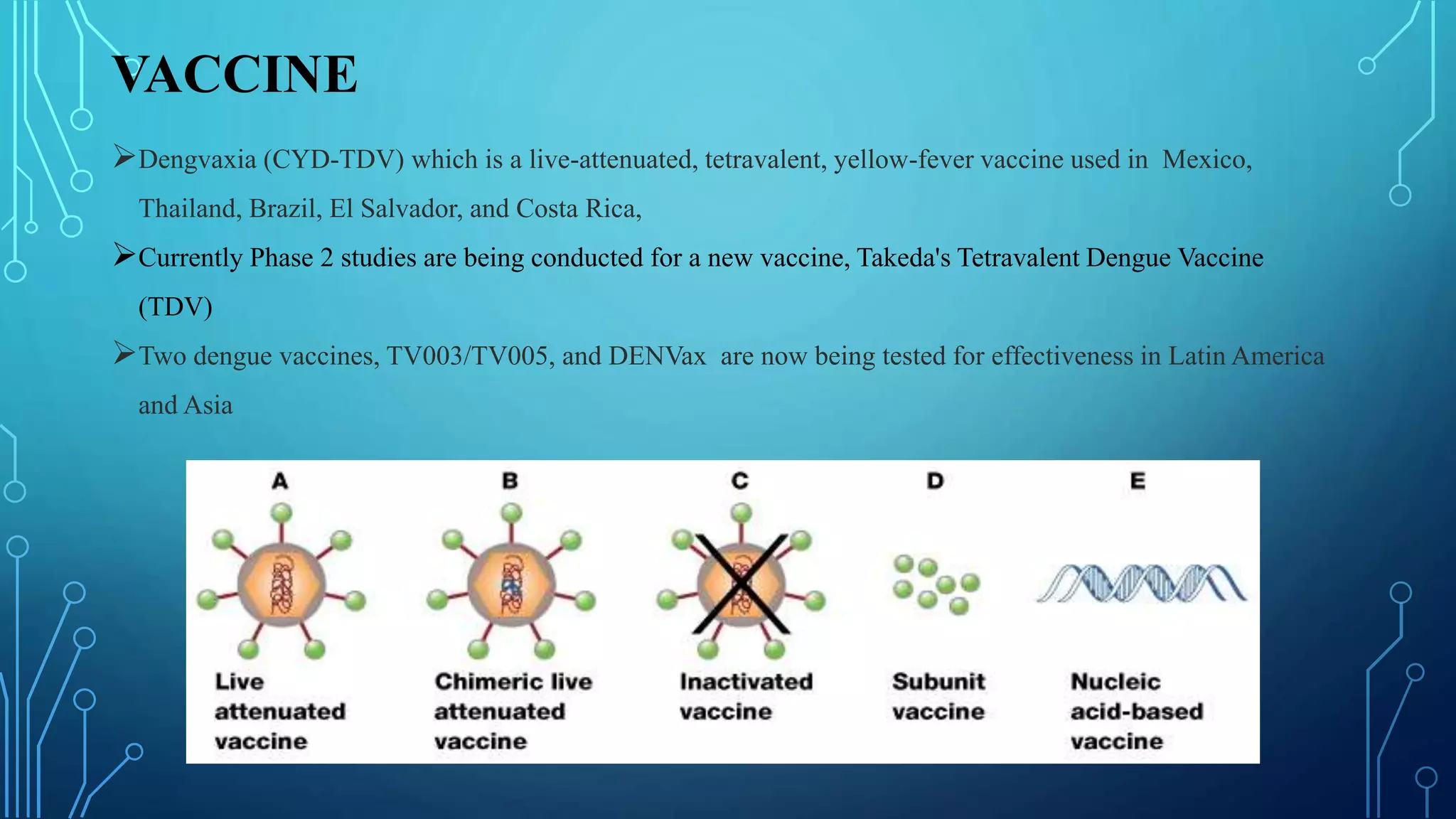 Dengue Virus: Genomic Insights, Pathogenic Mechanisms, and Therapeutic ...