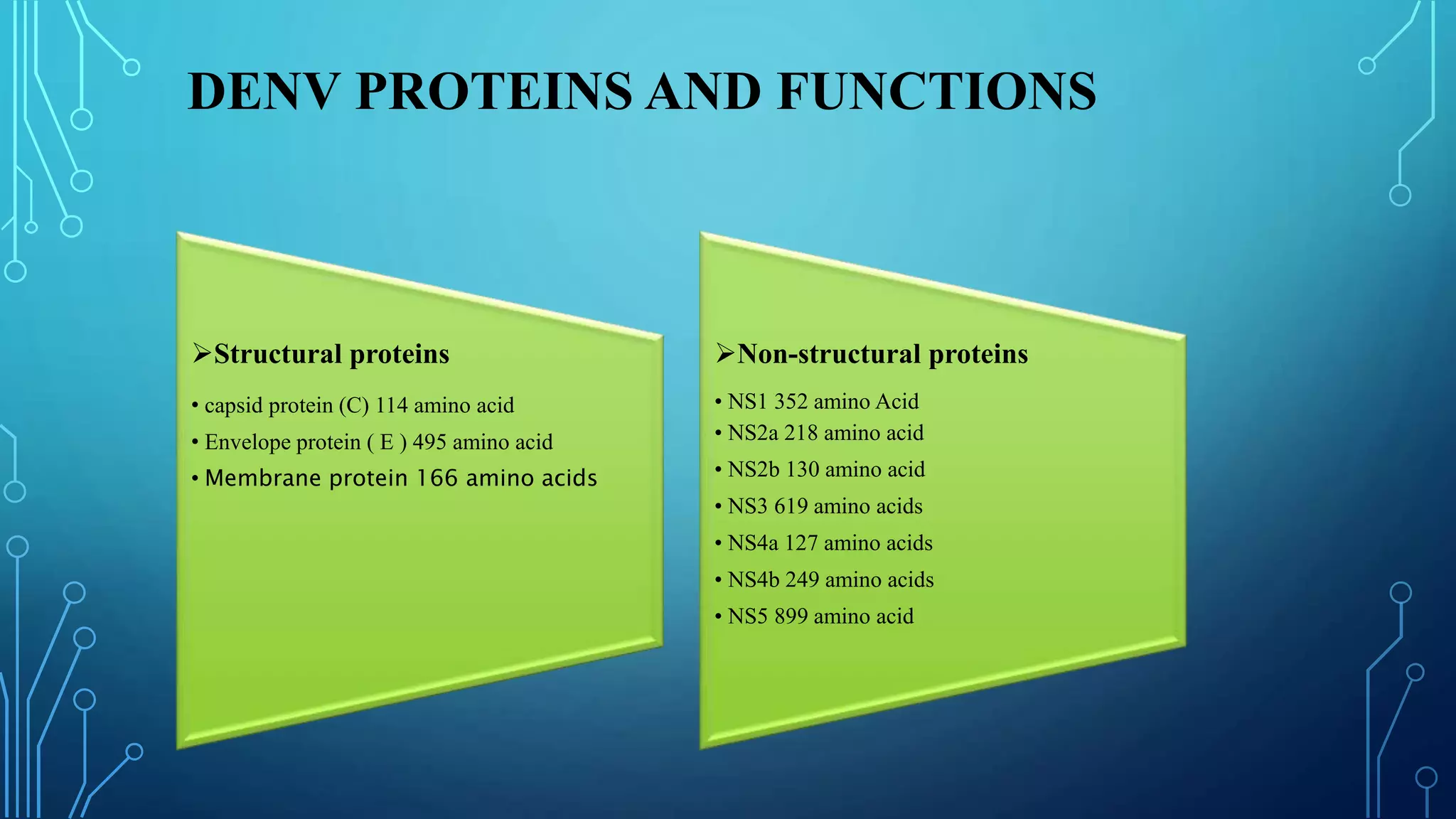 Dengue Virus: Genomic Insights, Pathogenic Mechanisms, and Therapeutic ...