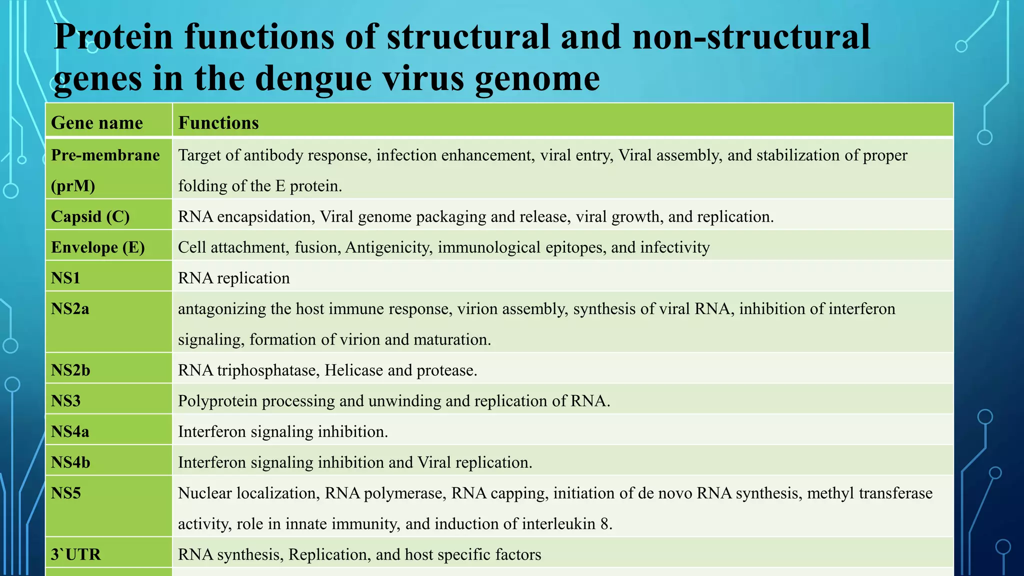 Dengue Virus: Genomic Insights, Pathogenic Mechanisms, and Therapeutic Approaches | PPTX