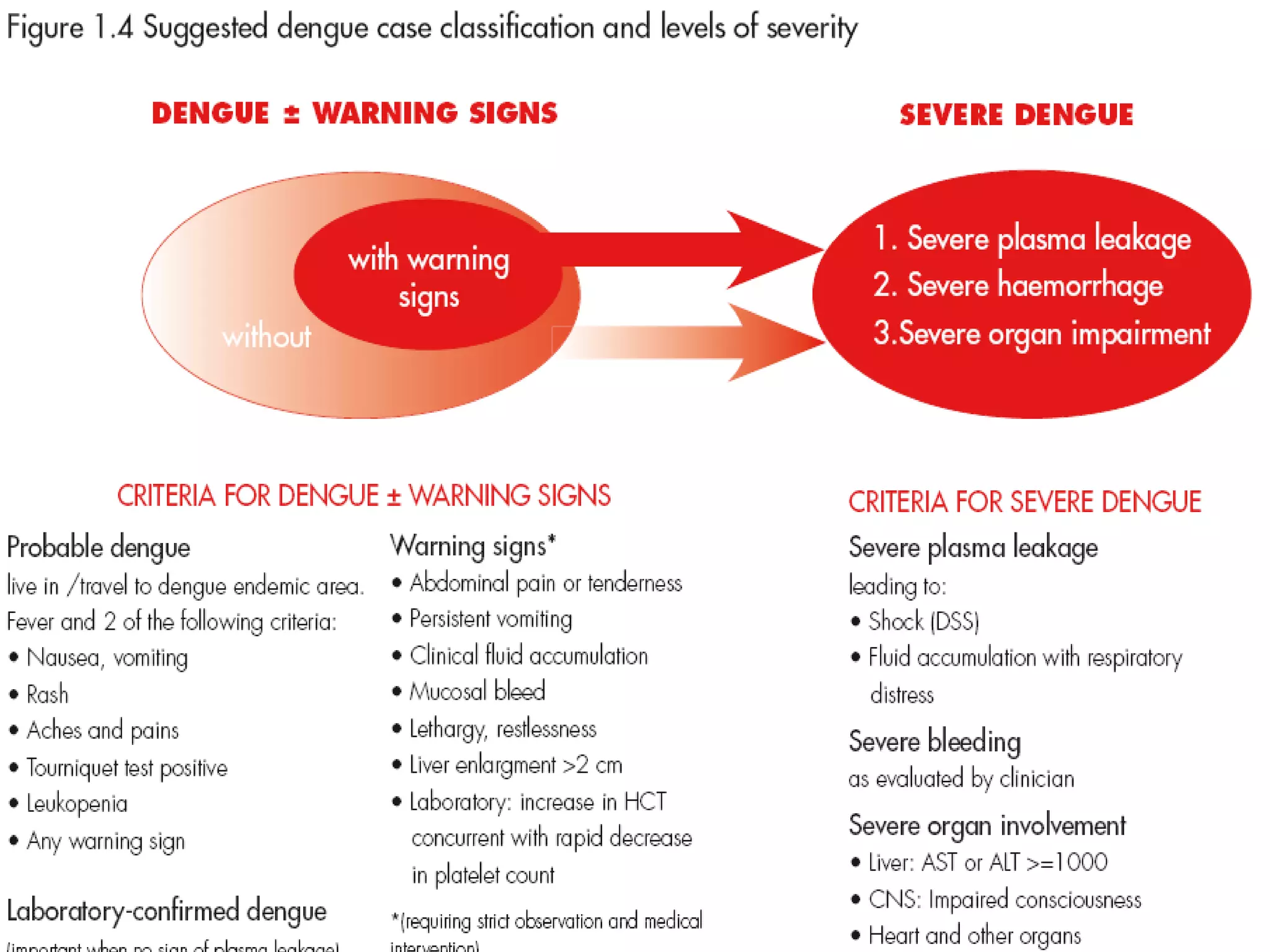 Dengue who_protocol | PPT
