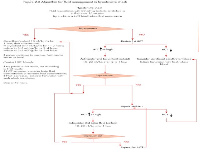 Dengue who_protocol | PPT | Infectious Diseases | Diseases and Conditions