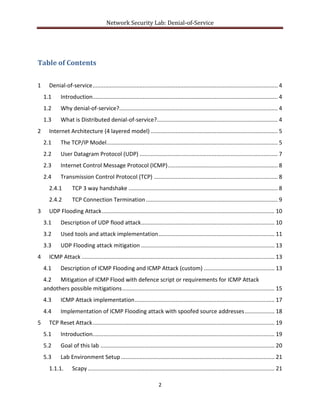 Denial of-service-Attack | PDF