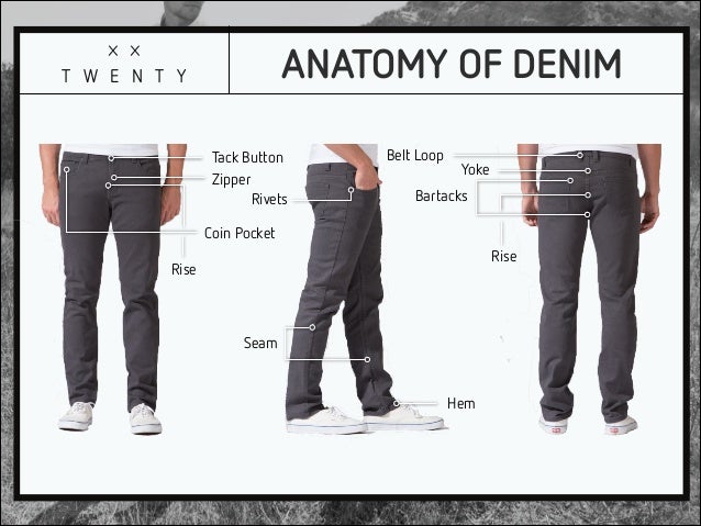 ANATOMY OF DENIM