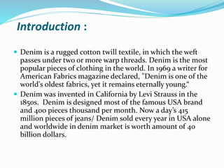 Denim | PPTX