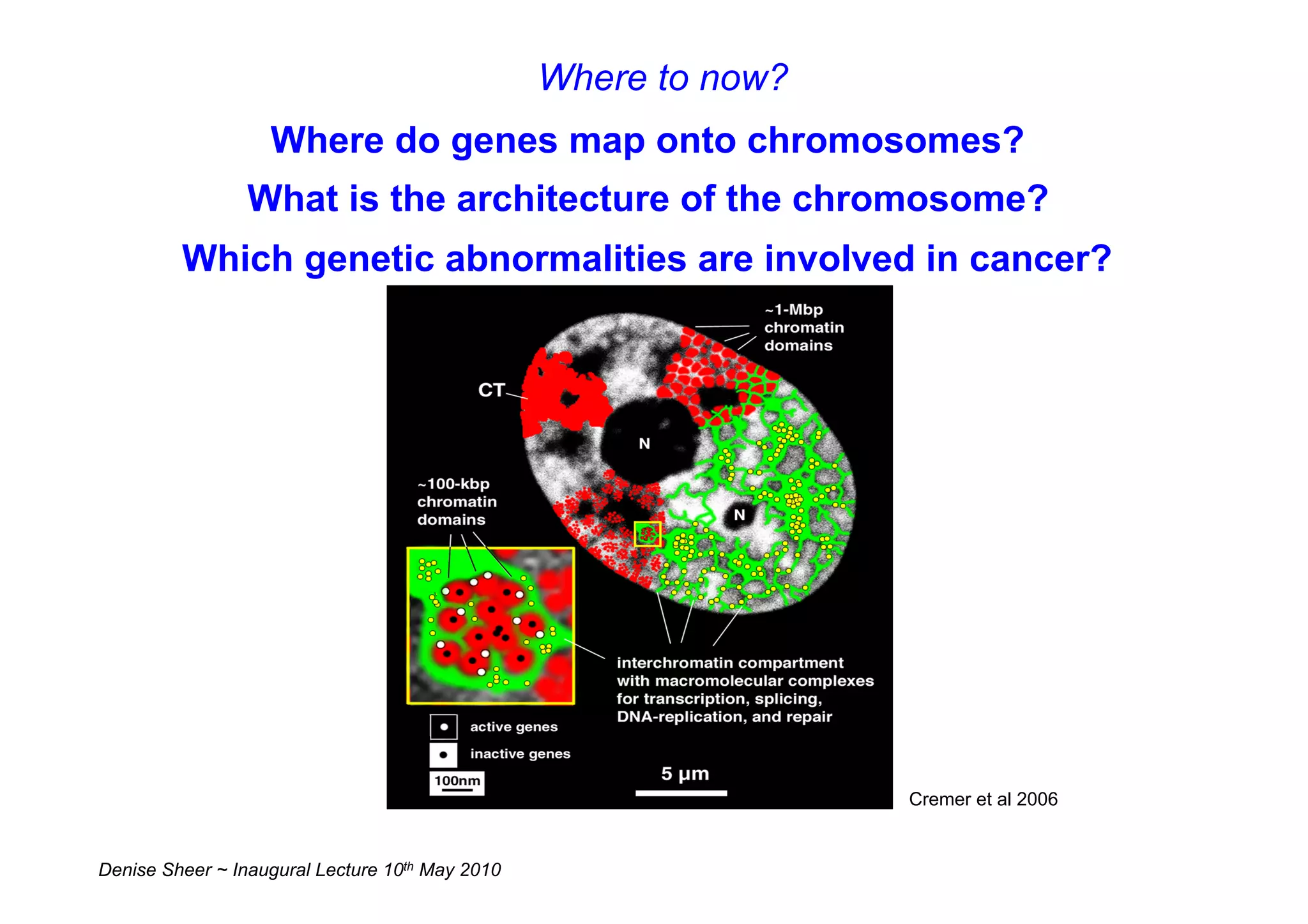 Denise Sheer Inaugural Lecture | PPT