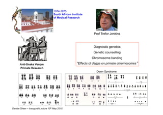 Denise Sheer Inaugural Lecture | PPT