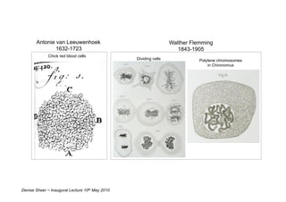 Denise Sheer Inaugural Lecture | PPT