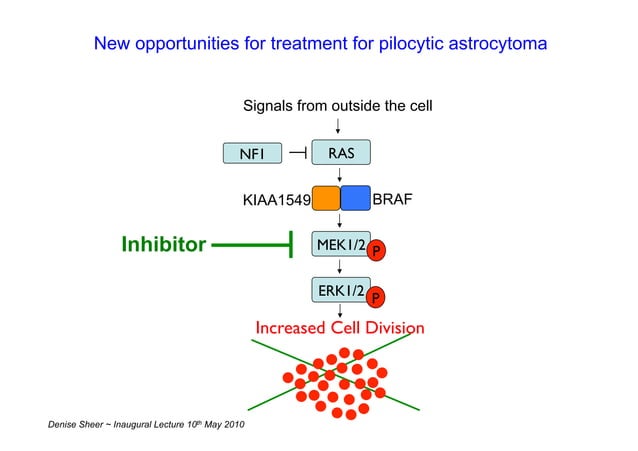 Denise Sheer Inaugural Lecture | PPT