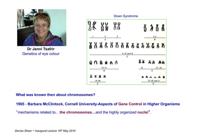 Denise Sheer Inaugural Lecture | PPT