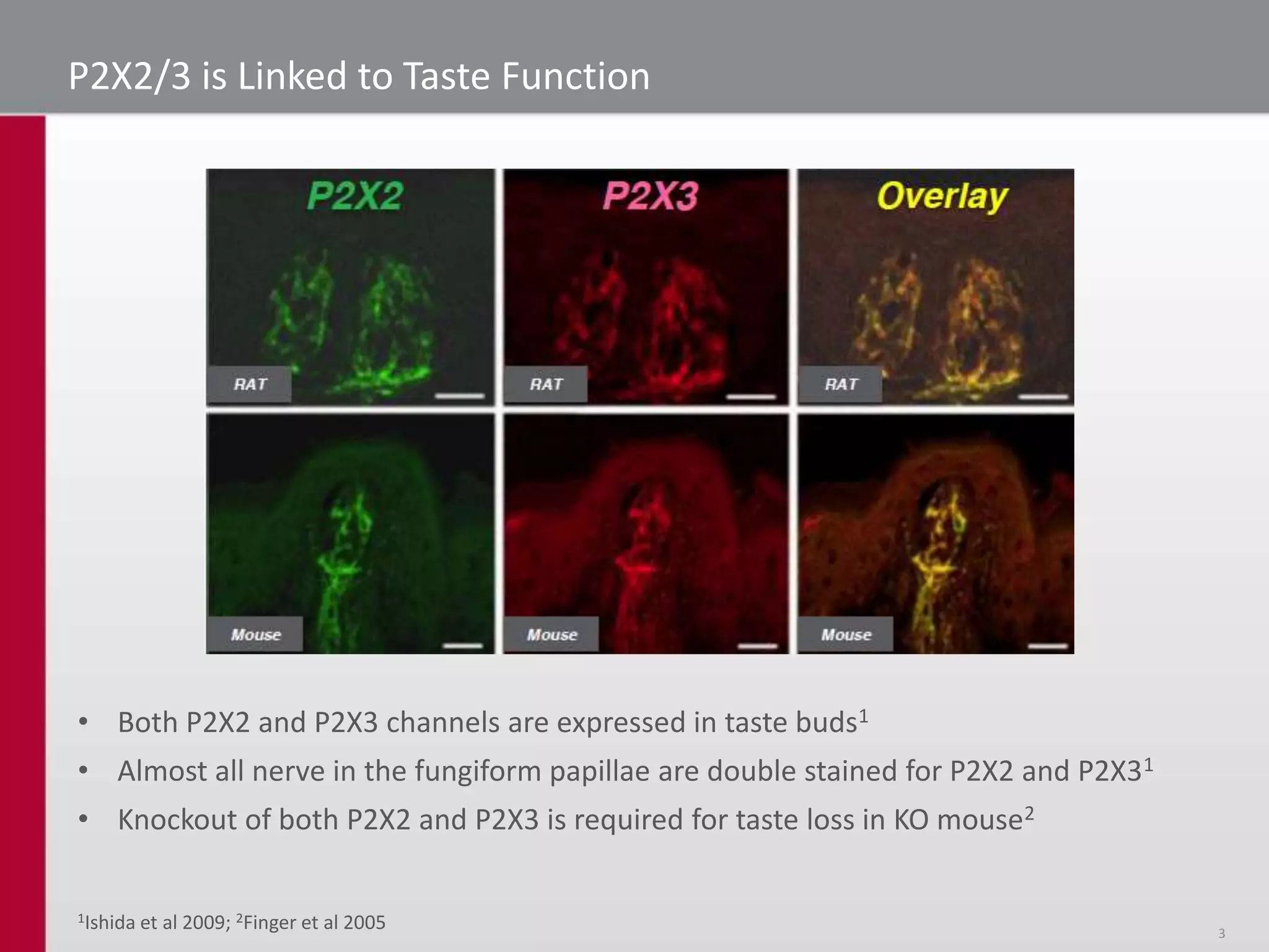 Denis garceau blu 5937 in chronic cough - cough conference | PPTX