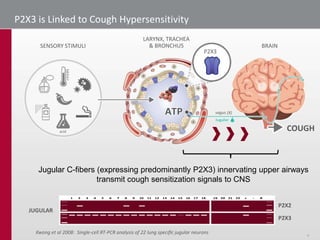 Denis garceau blu 5937 in chronic cough - cough conference | PPTX